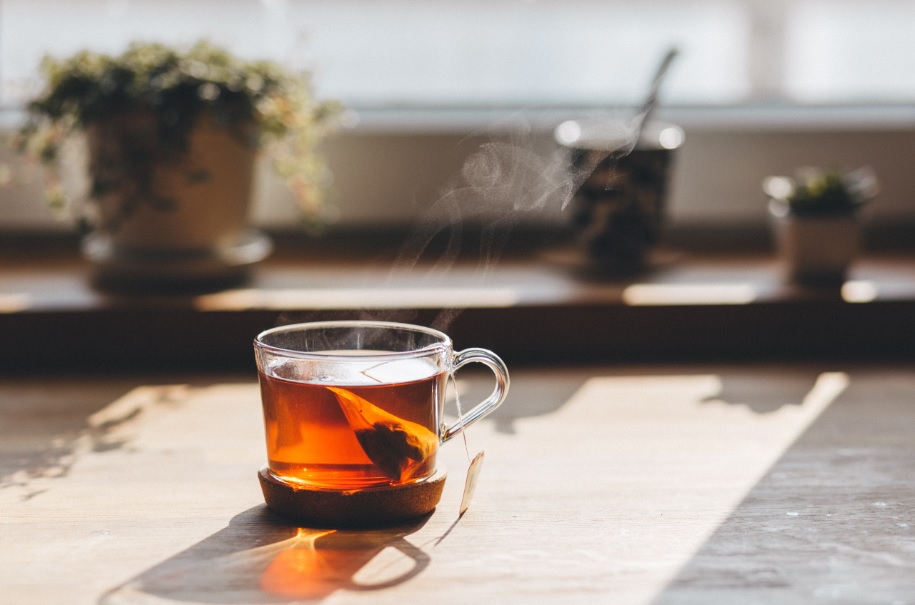 Grow your own green tea in a small balcony - Gardening Tips | Plants ... Grow your own green tea in a small balcony - Gardening Tips | Plants ...